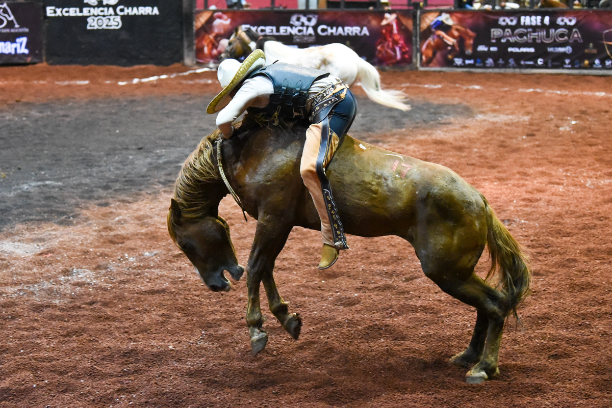 Resultados finales de la cuarta fase eliminatoria – Circuito Excelencia ...